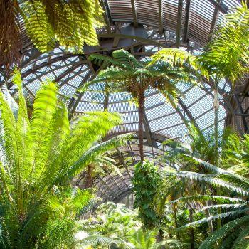 Want to Know How to Regulate the Greenhouse Temperature?