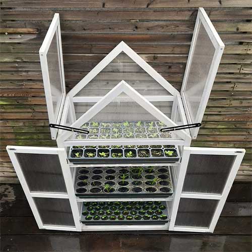 5 Reasons Why I Like this Small Indoor Greenhouse...