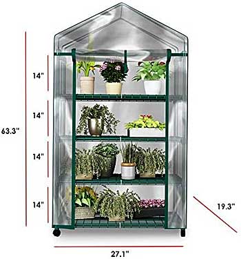 Starting Seeds in a Mini Greenhouse - Step-by-Step Guide