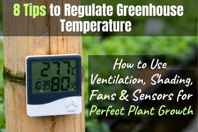 8 Easy Ways to Control Greenhouse Temperature
